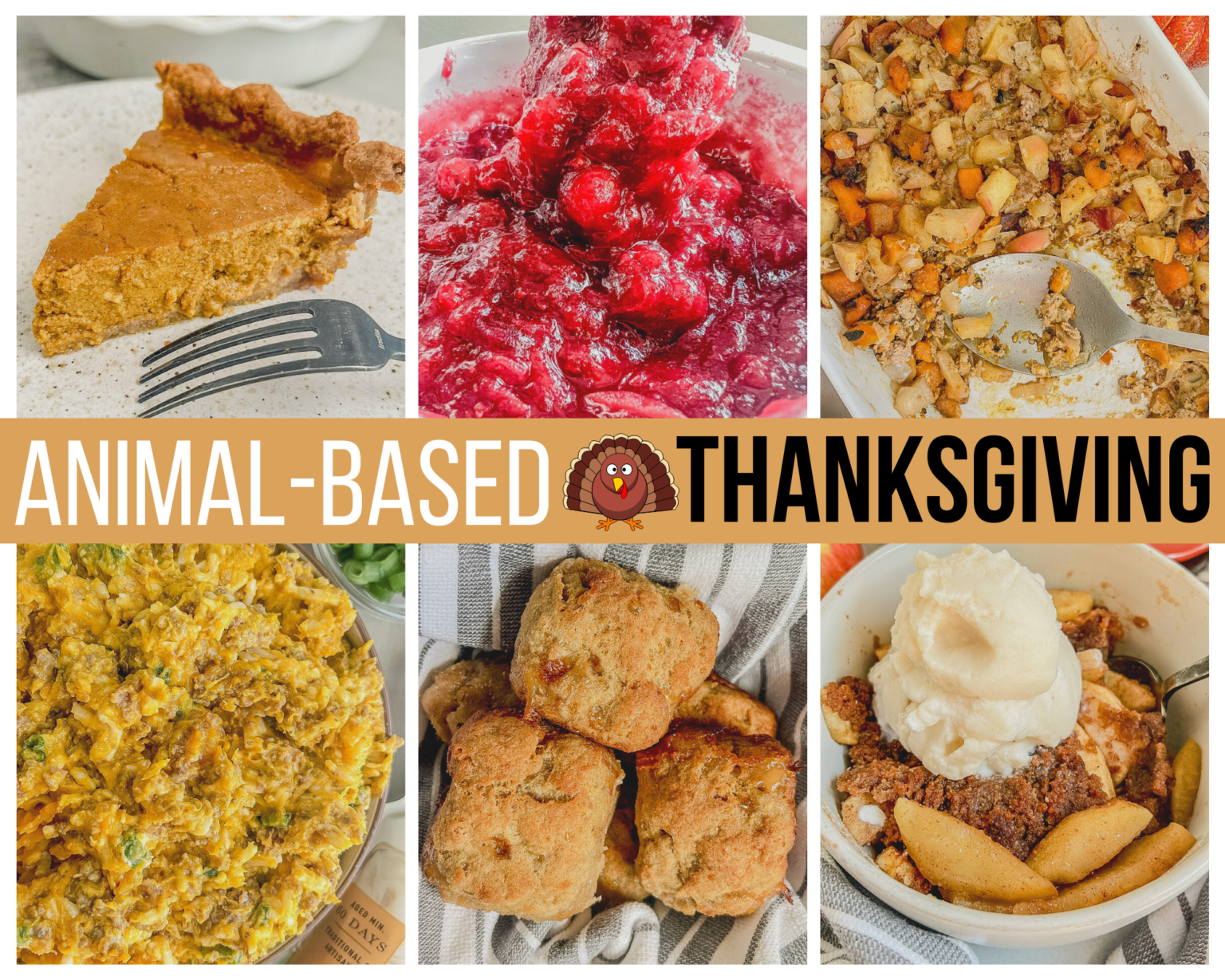 23 Animal-Based Thanksgiving Recipes - Ash Eats