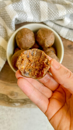 Sweet Beef Bites (3 Ingredients, Animal-Based) - Ash Eats