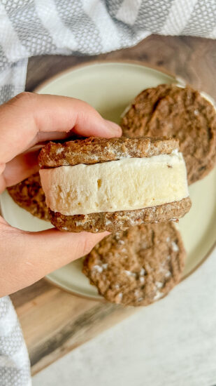 Animal-Based Ice Cream Sandwiches - Ash Eats